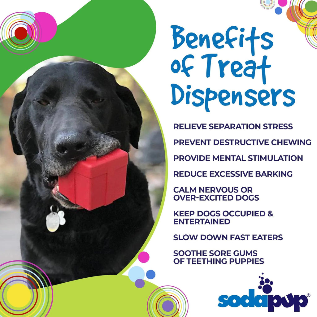 Gift Box Chew Toy & Treat Dispenser - Medium - Red – Martie