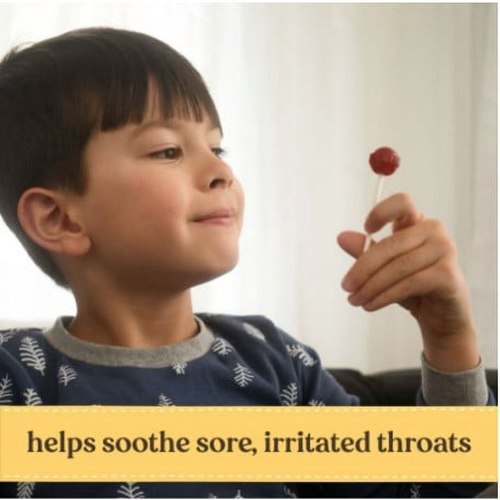 Burt's Bees Throat Soothing Pops - Oral Demulcent - Fruit Fusion (10CT ...