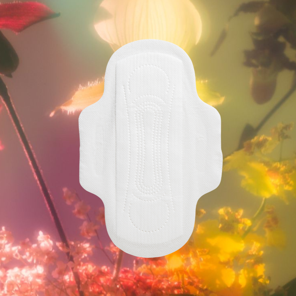 Hempress Hygienics Hemp Day Pads (12 CT) – Martie