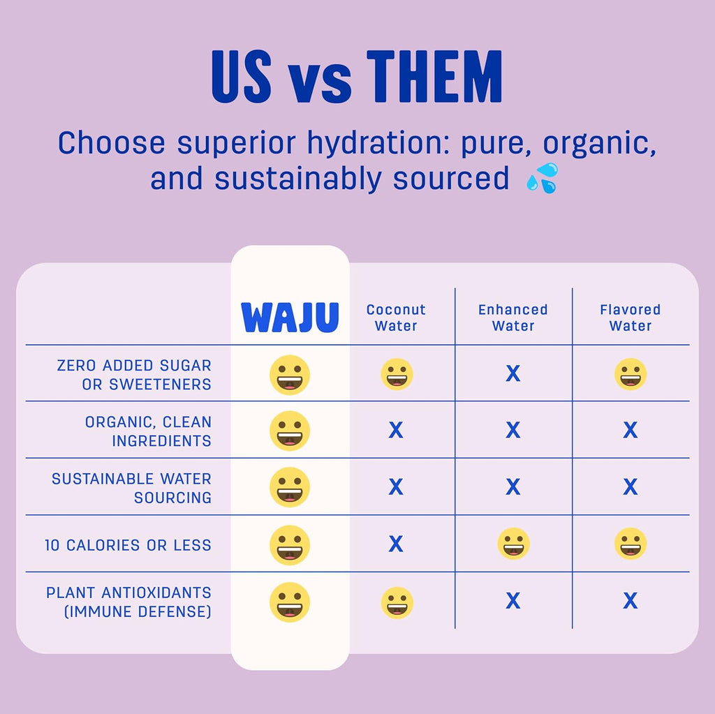 Waju Water Blueberry Sparkling Fruit Water (12 Pack) – Martie