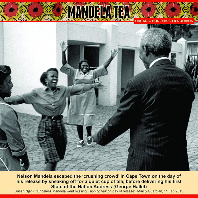 Mandela Tea Organic Honeybush & Rooibos Tea Bundle (60 CT) – Martie