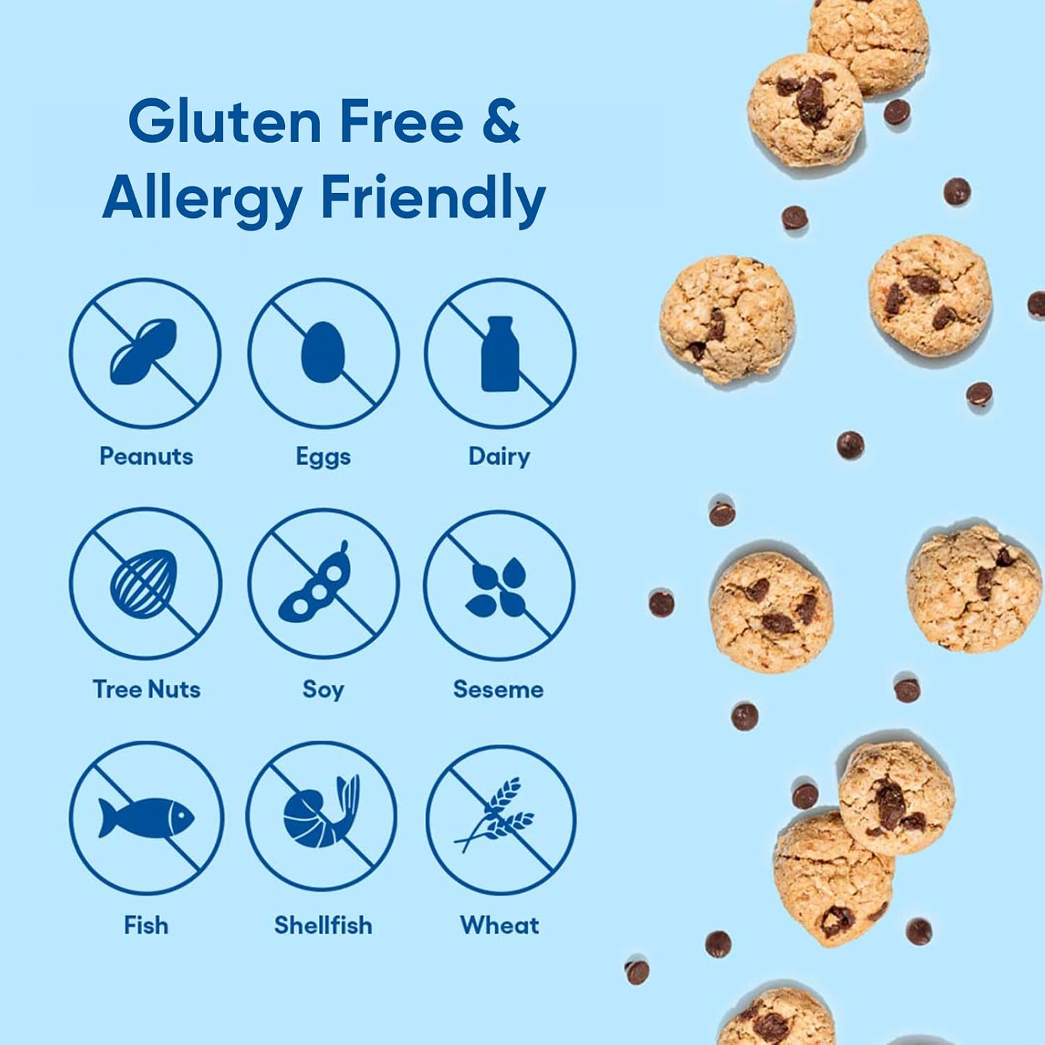 Partake Foods Mini Crunchy Chocolate Chip Cookies – Martie