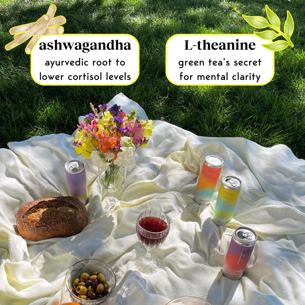 Moment Moment Adaptogen Drink Lemon Turmeric Sparkling Soda 11.5 Oz 12 ...