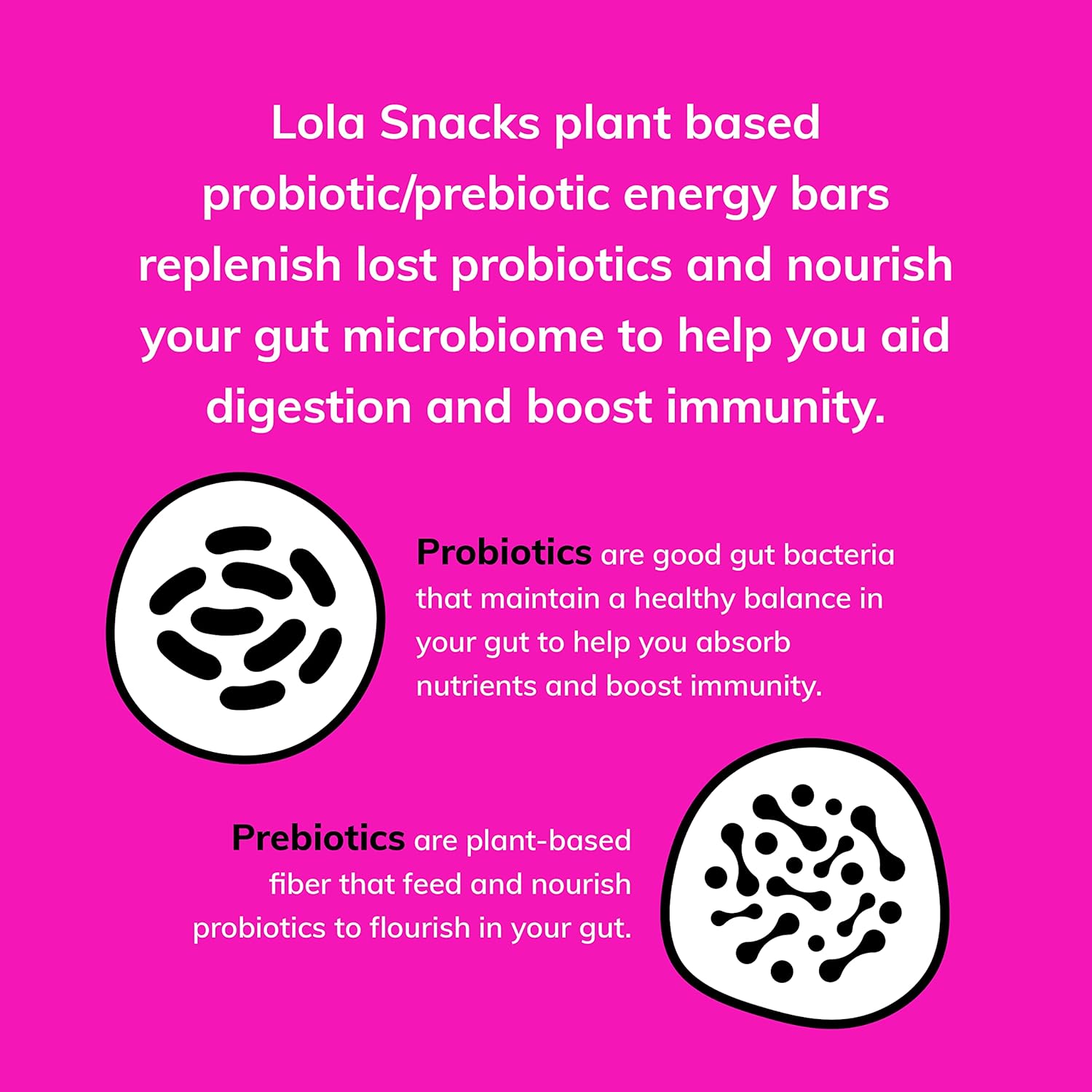 Lola Snacks Dark Chocolate & Peanut Probiotic Bar (12 Pack) – Martie