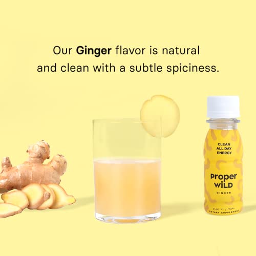 Proper Wild Ginger Energy Shot (12 Pack) – Martie