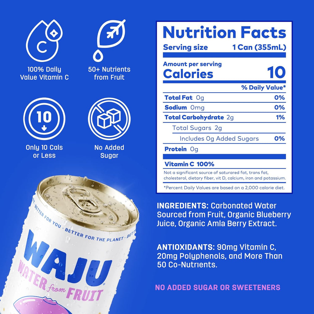 Waju Water Blueberry Sparkling Fruit Water (12 Pack) – Martie