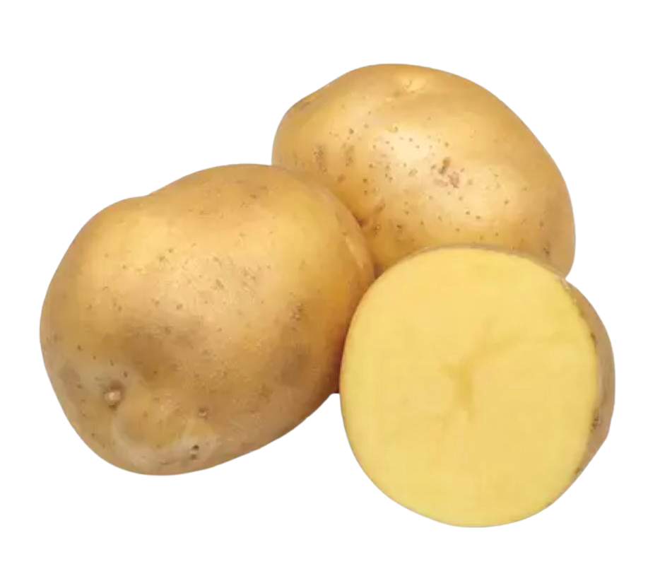 Yukon Potato Yukon Gold Small – Martie