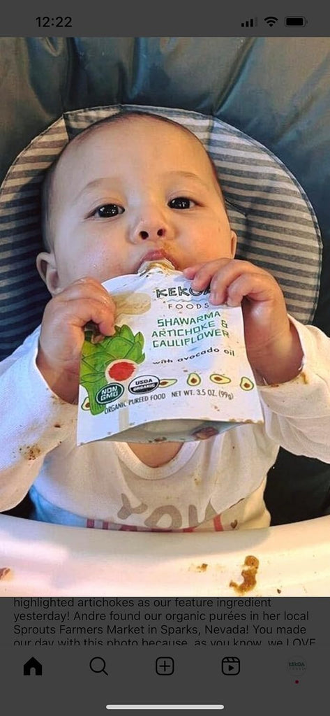Kekoa Foods Shawarma Artichoke And Cauliflower Baby Food (6 Pack) – Martie